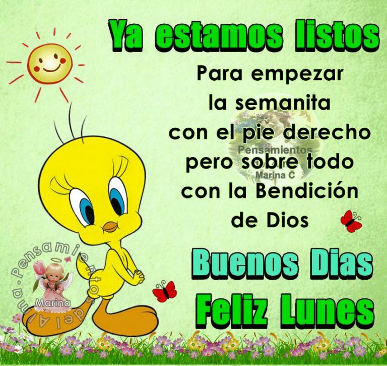 Imágenes de Piolín Bonitas - Imágenes Bonitas