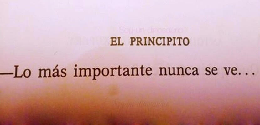 +17 Imágenes con Frases de Libros | Las MEJORES para Descargar
