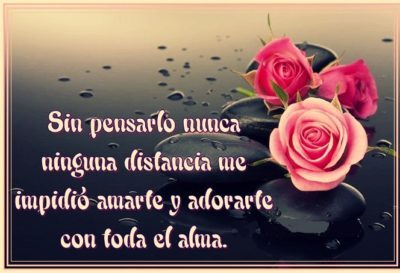 Las mejores Imágenes con Mensajes Bonitos para Compartir en 2019