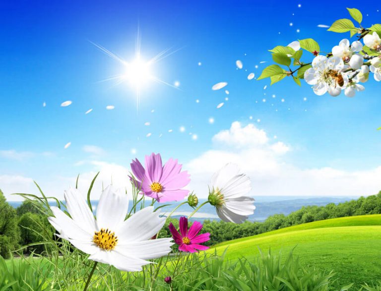 Las mejores Imágenes de Primavera para Descargar | Muy Bonitas