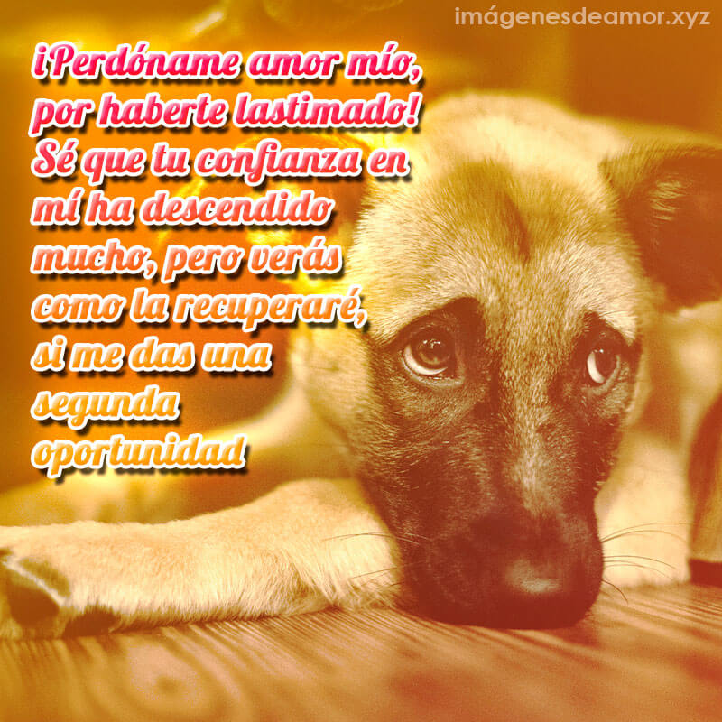 Imágenes de Perdón | Expresa todo lo que sientes
