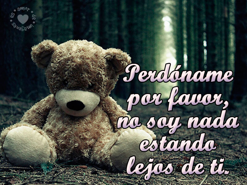 Imágenes de Perdón | Expresa todo lo que sientes