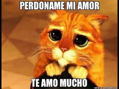 Imágenes de Perdón | Expresa todo lo que sientes