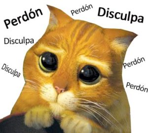Imágenes de Perdón | Expresa todo lo que sientes