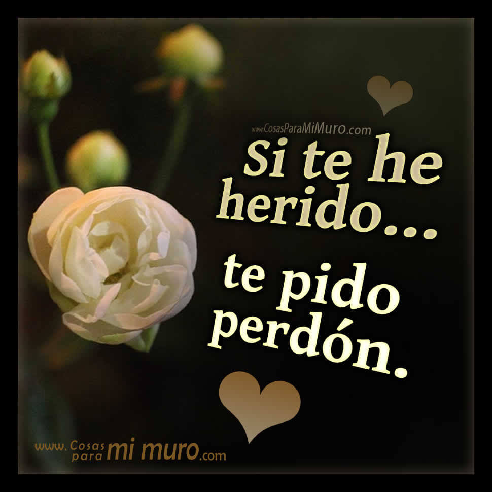 Imágenes de Perdón | Expresa todo lo que sientes