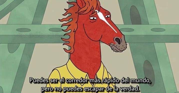 Imágenes con Frases de Bojack Horseman | Sobre la vida & el Amor